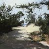 Robert Bolster at Tree's Place Gallery || Orleans, MA