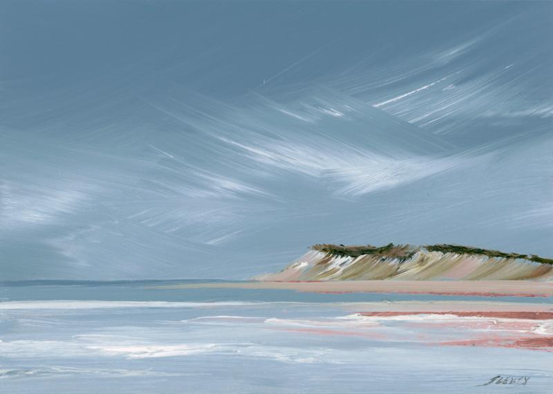 Rick Fleury at Tree's Place Gallery || Orleans, MA